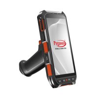 Pegasus Software, IT services, Business application, Technology ...